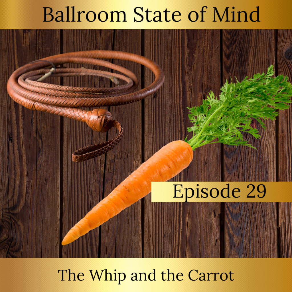 Ep. 29 The Whip and the Carrot - Amber Haider Coaching