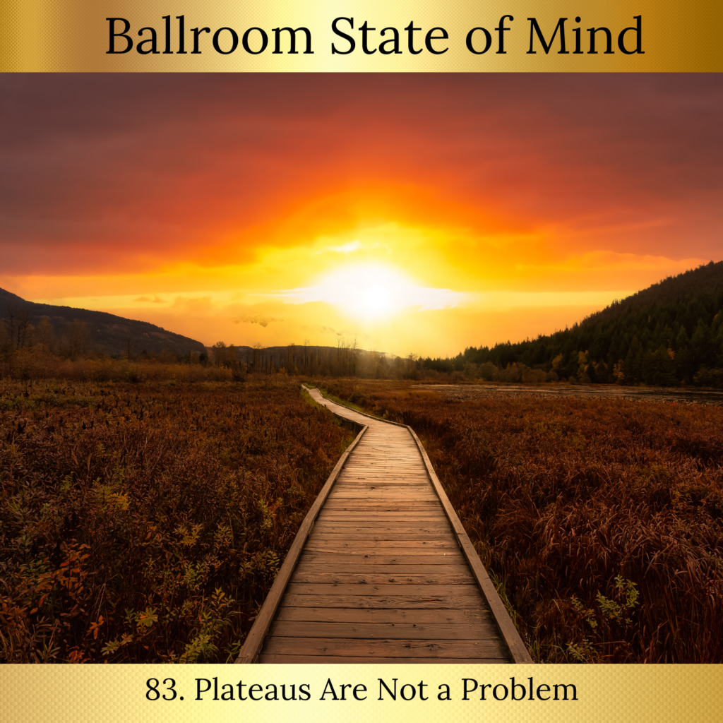 Ep. 83 Plateaus Are Not a Problem - Amber Haider Coaching